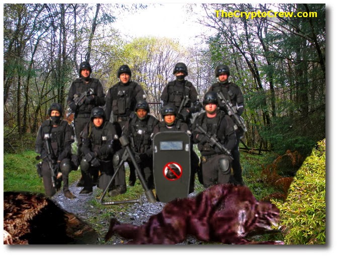 February 2014 ~ The Crypto Crew