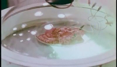 The Neurocritic: February 2014