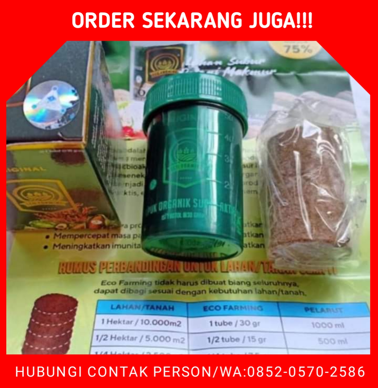 Pupuk Eco Farming, Teruji Hasil Panen Petani Bawang Merah di Soromandi ...