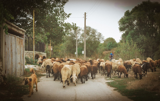 Lifestyle: За селския живот и други тайни