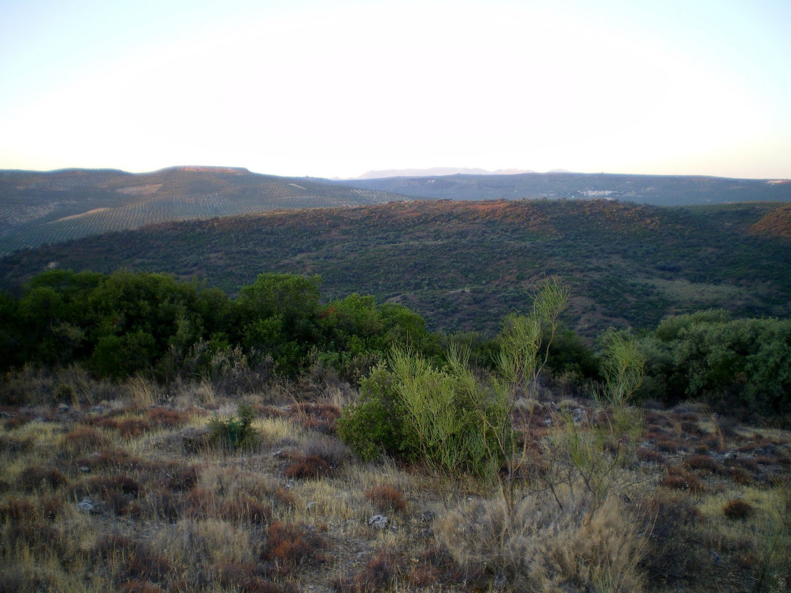 Club de Senderismo Los Escuderos de Rus (Jaen): ZAGAHÓN-PUENTE DE ARIZA ...