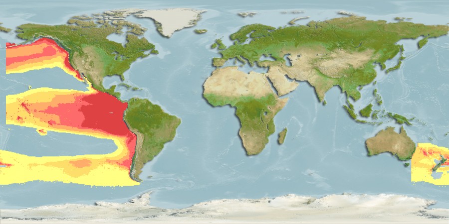 Artes de Pesca: ACTINOPTERYGII