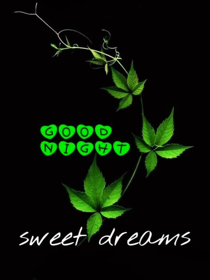 25+ Good Night Images Simple, Trending Beautiful Good Night New Image ...