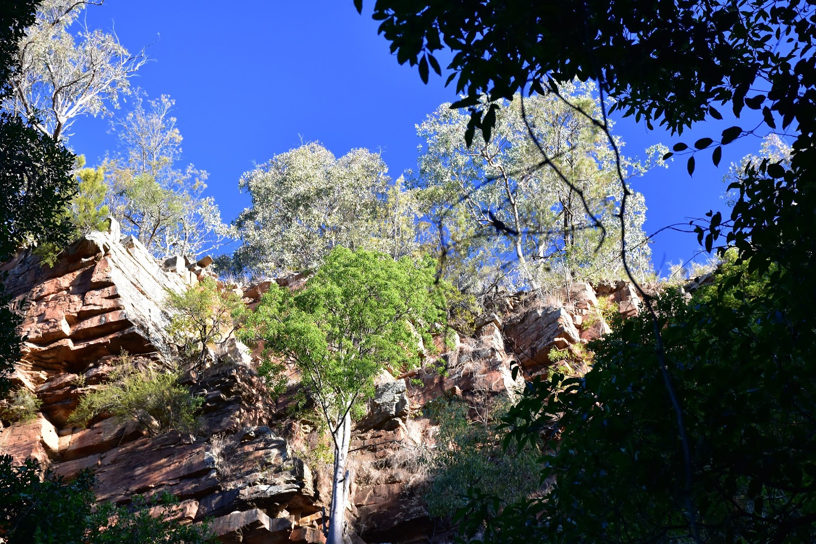 Goin' Feral One Day At A Time: Den of Nargun, Mitchell River National ...