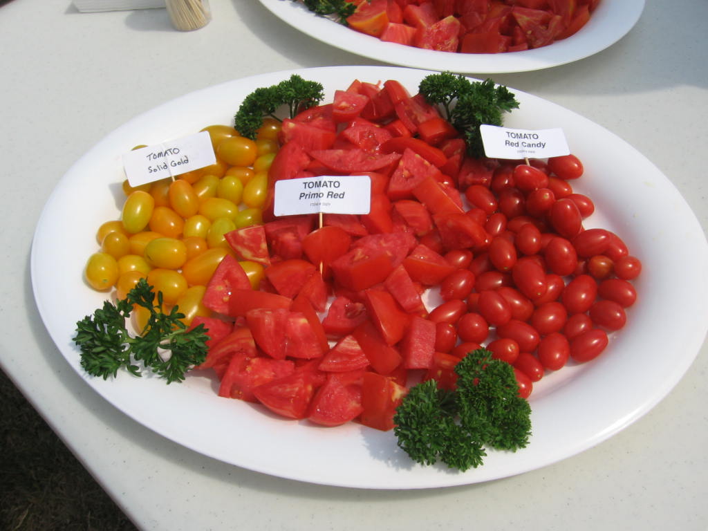 Open-Line Garden Show : President's Choice, Stokes Seeds Annual ...