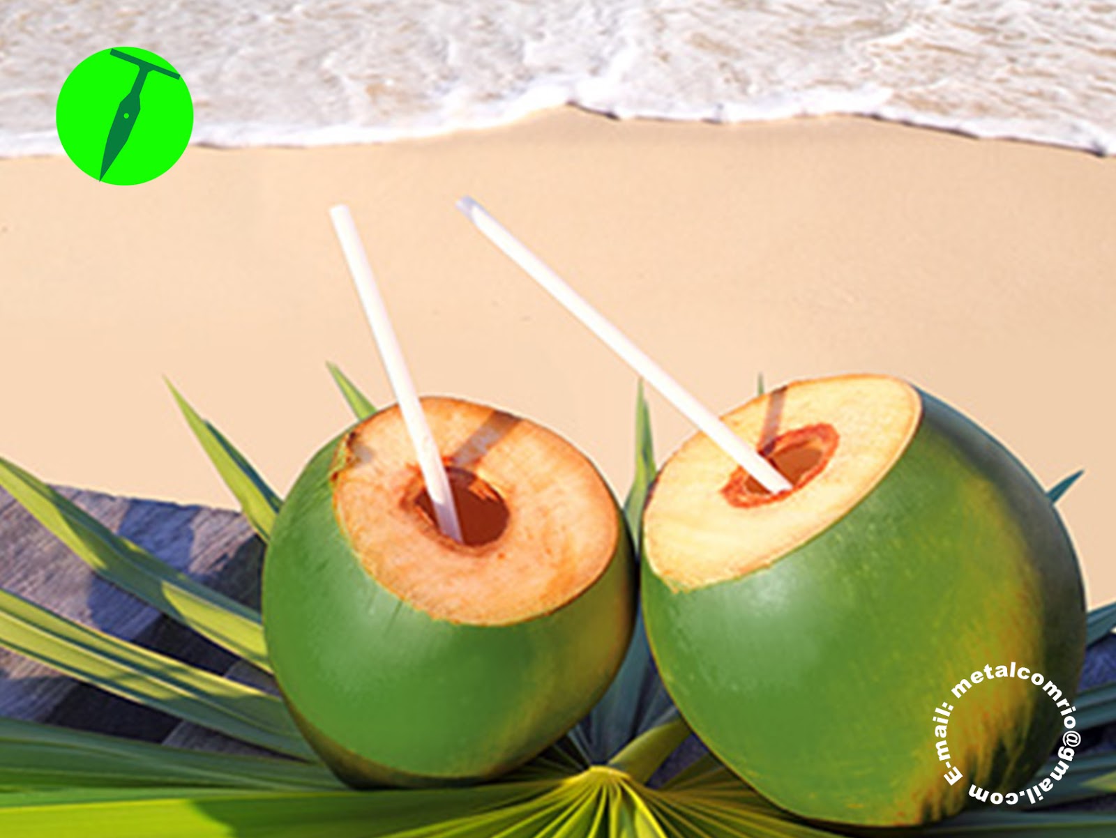 ABRIDOR DE COCO VERDE: COCO GELADO