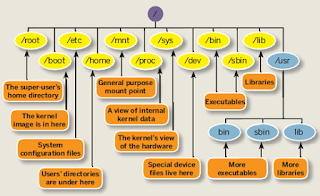 Filesystem Hierarchy Standard (FHS) - TyarS | LiNET