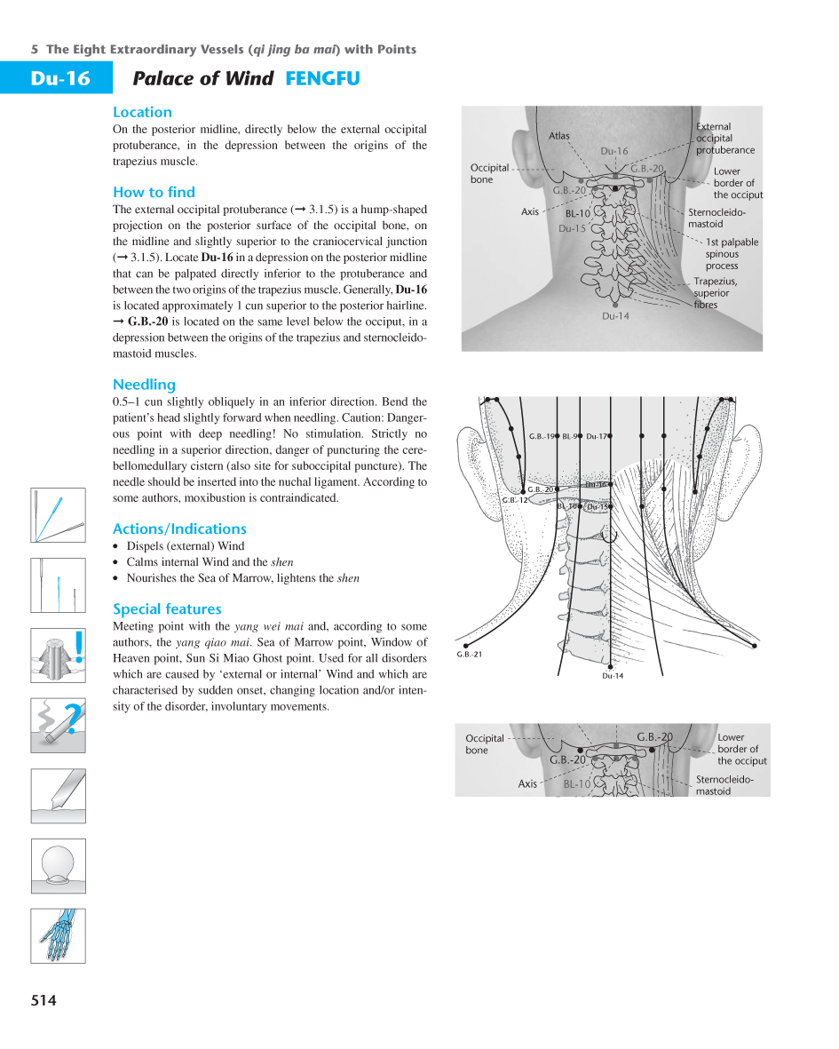 Acupuncture Masters: Acupuncture Points Database - Du Channel