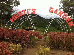 Sriyanti Mustika Ningrum: "HESTI'S GARDEN' TAMAN BUNGA MERANGIN