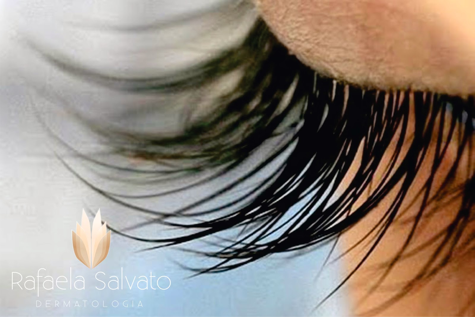 Qual A Função Do Cilios - FDPLEARN