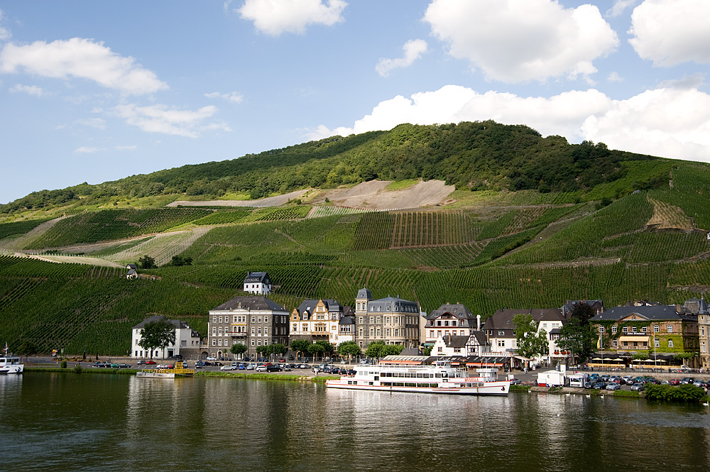 Anne-Grethe Holt: MOSELDALEN