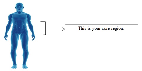 The Life Extension Blog: Why a Strong Core is Essential to Your Health