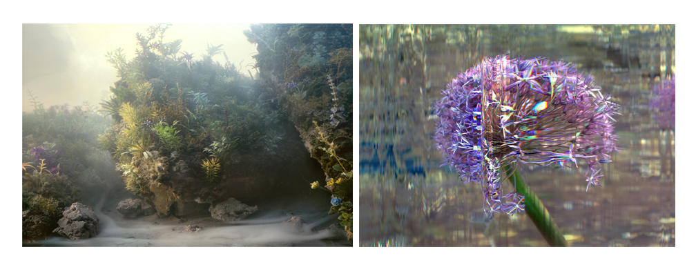 Photo Gallerino: IN THE WATER I AM BEAUTIFUL • Kim Keever & Bruce ...