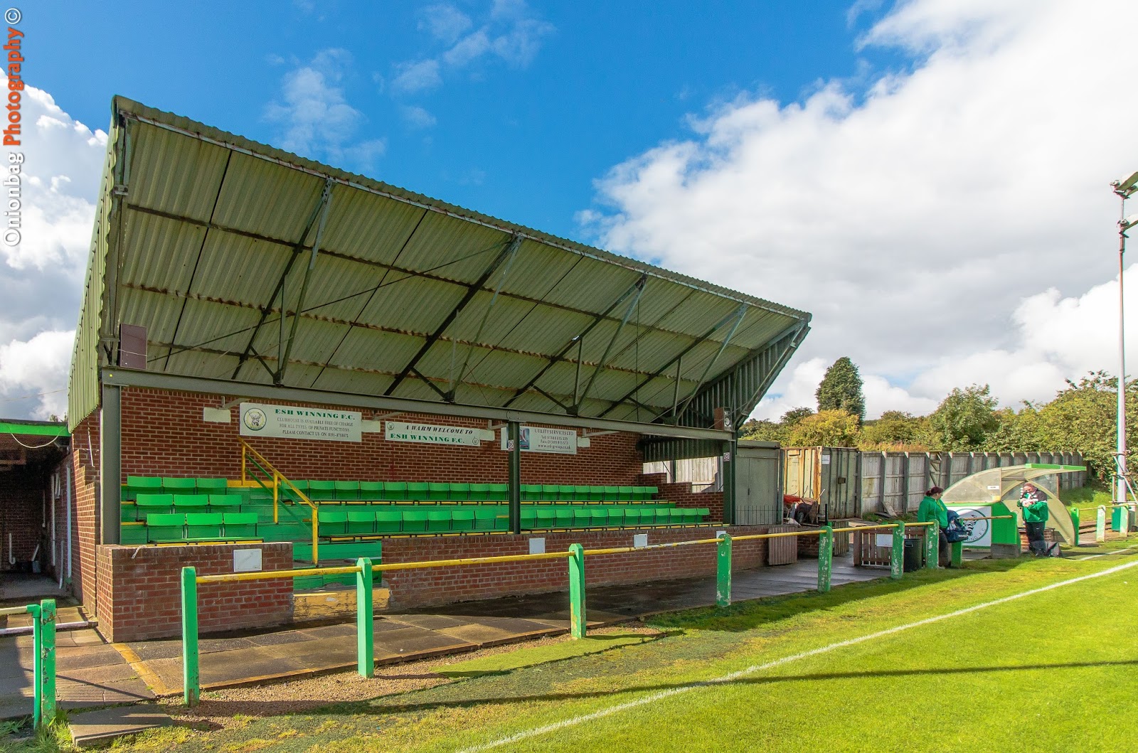 The Onion Bag: Esh Winning