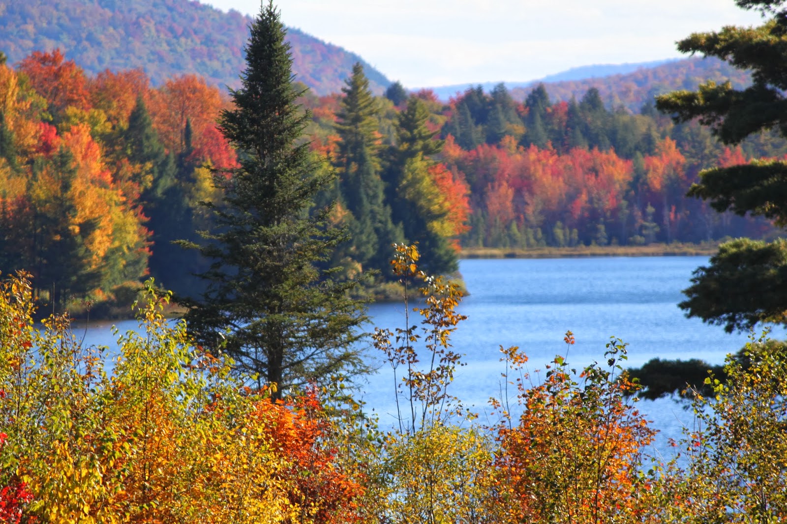 52 FLEA: Autumn in the Adirondacks