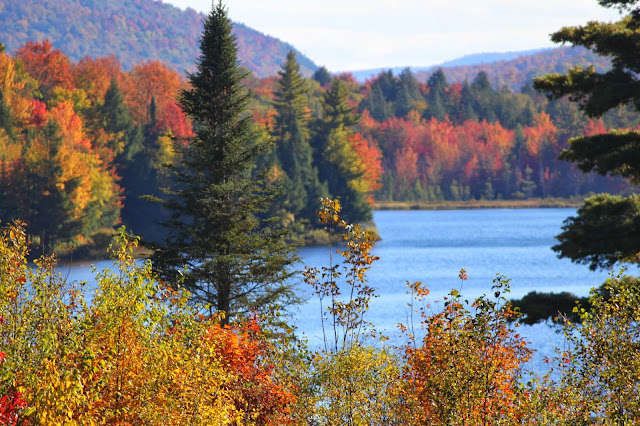 52 FLEA: Autumn in the Adirondacks