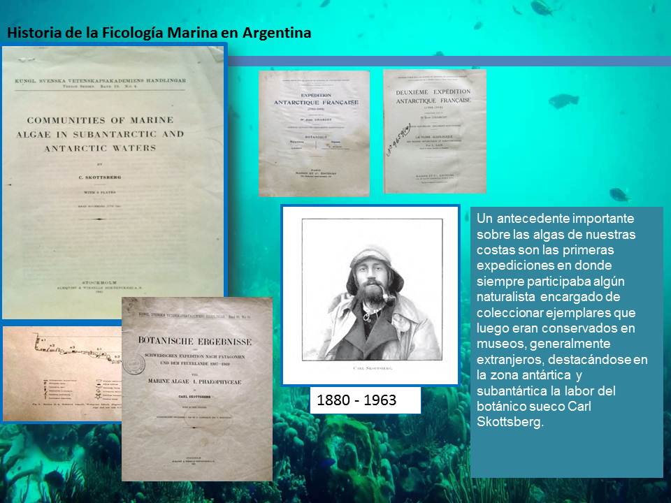 HIstoria de la Ficología Marina Argentina