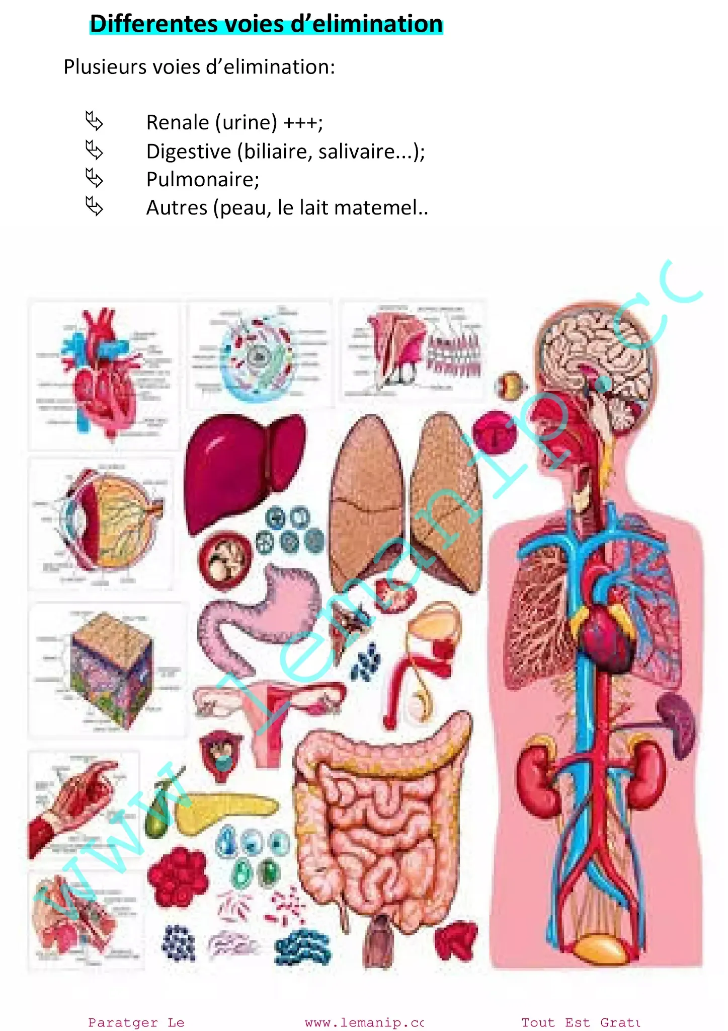 Pharmacologie Générale