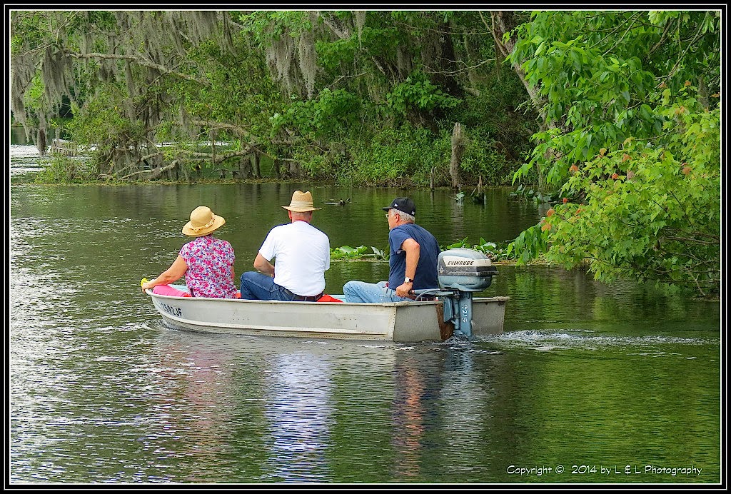 Ocala, Central Florida & Beyond: Boating on the Silver River at Silver ...