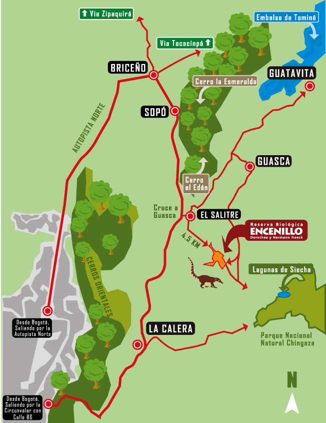 Salida Ecológica , Buscando al Cusumbo