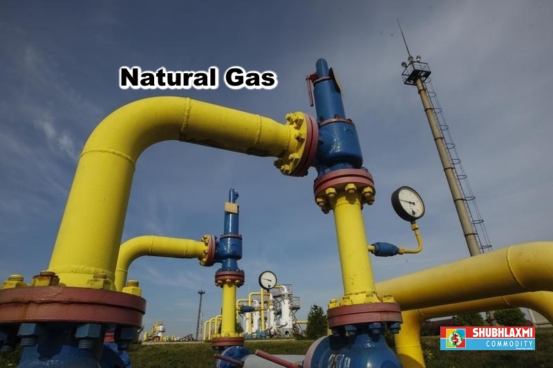 SHUBHLAXMI COMMODITY