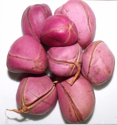 Angola: Obí e Orobô.