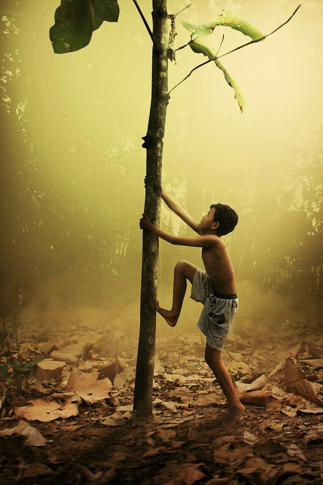 Human Interest Dramatic Photo Art - Memanjat Pohon Kecil - zanuara.com