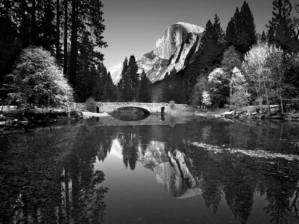 Elysian Thoughts: Depth of Field - Ansel Adams