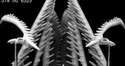 Life Before the Dinosaurs: Conodonta.