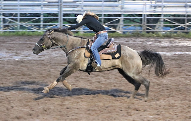 Valley Girl Views: The Benton Rodeo