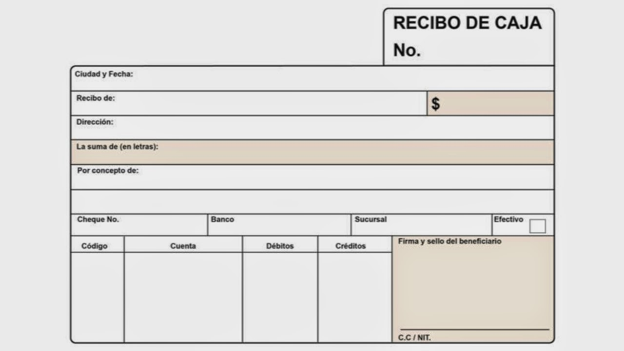 soportes contables imágenes