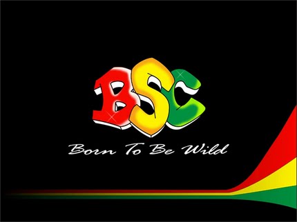 Game Terbaru 2014: Sejarah BSC Tasikmalaya ( Bogart Shark Classic )