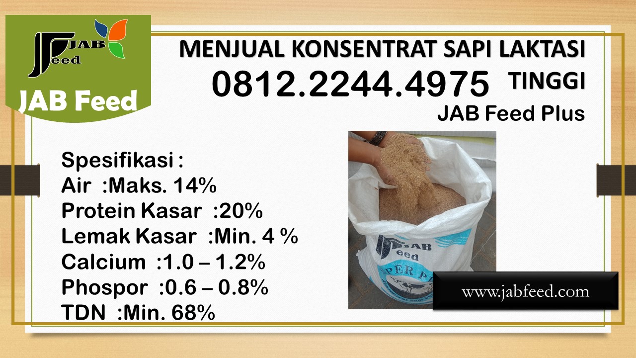 JAB Feed Konsentrat Sapi Perah