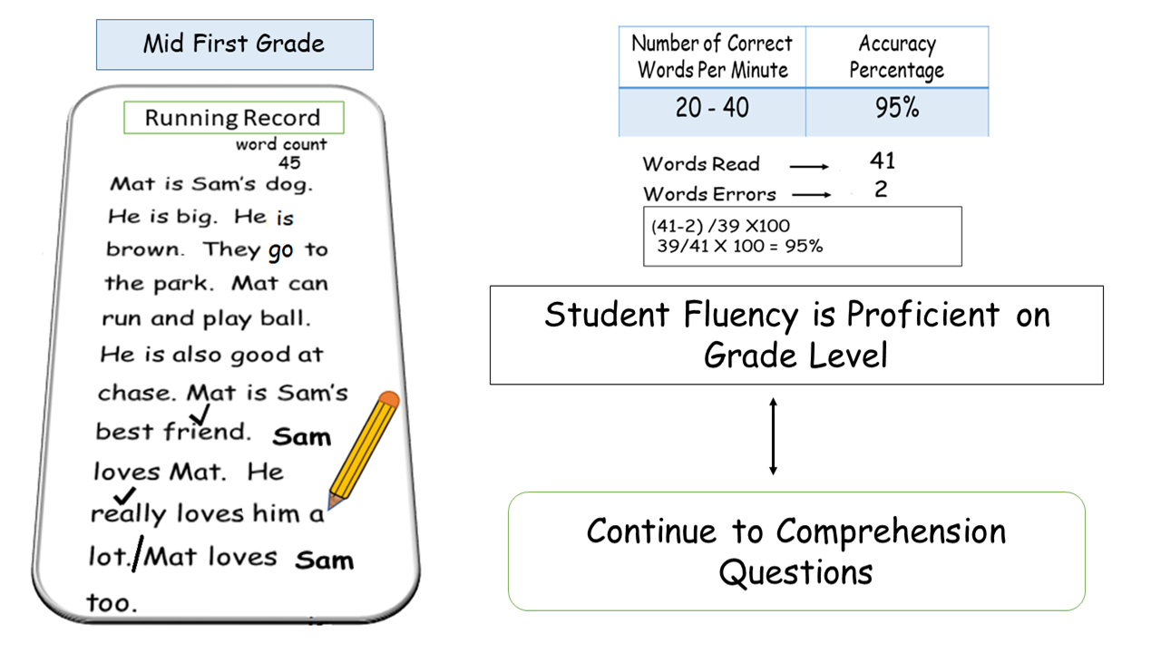 Reading2success: Understanding a Running Record- reading assessment ...