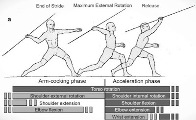 Terra Forming Terra: Evolution of the Throw