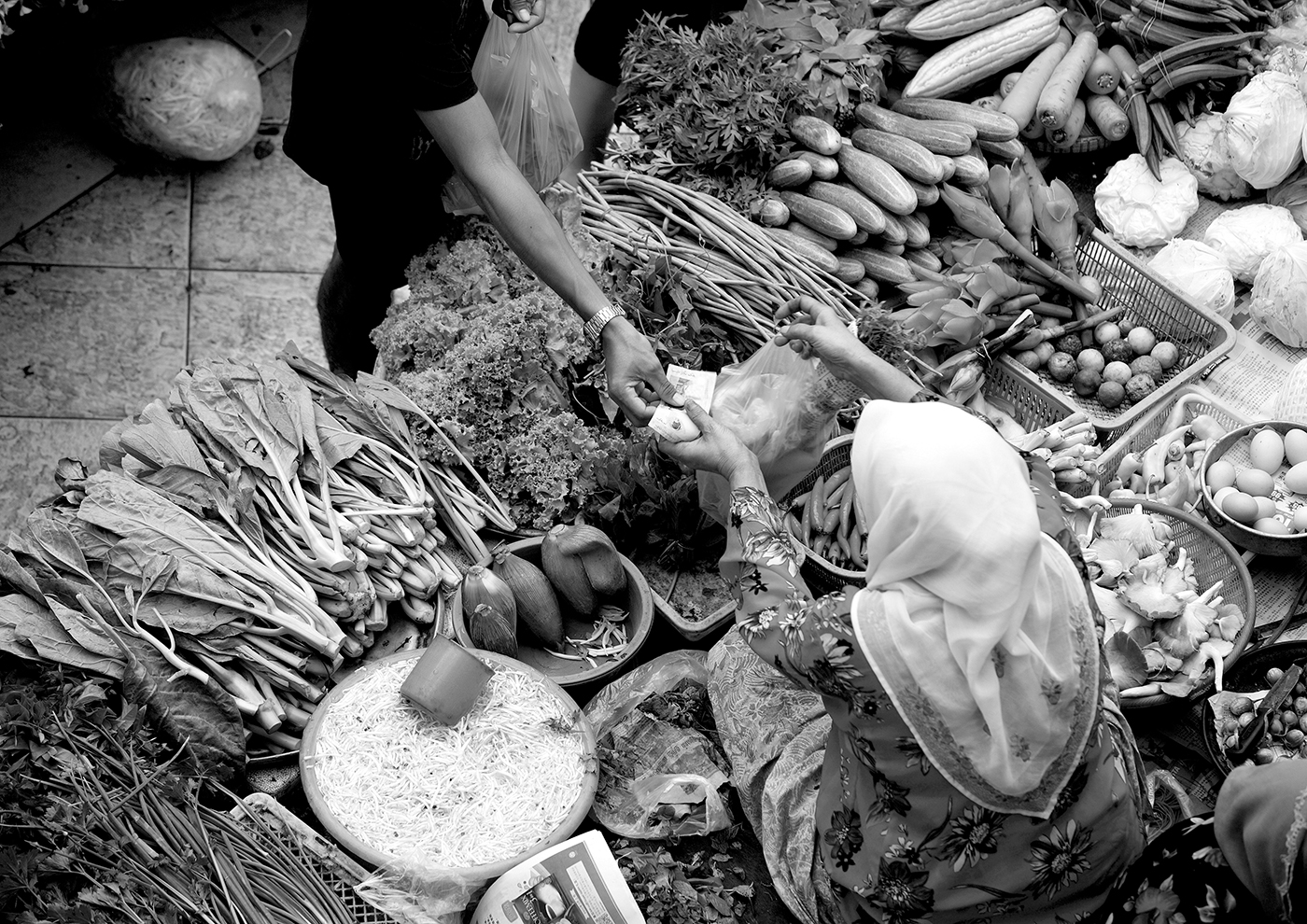 BOL – Packaging Of The World