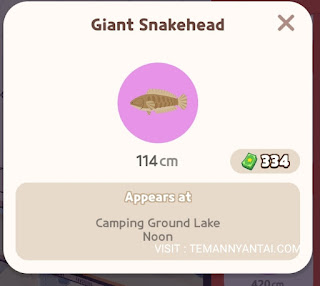 Play Together : Fish List and Location. How to Get Fish in Play ...