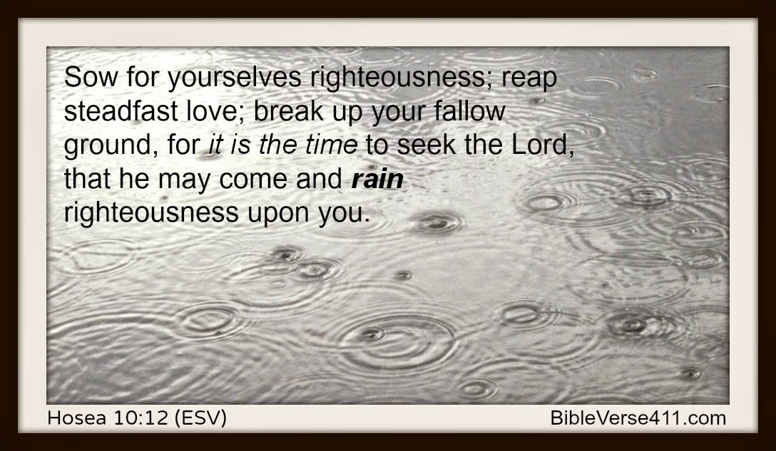 MANUFACTURER'S HANDBOOK: FALLOW GROUND - SOW IN RIGHTEOUSNESS - REAP ...