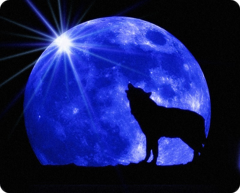 CONGREGA LUPINO: A verdade sobre a Lua Azul