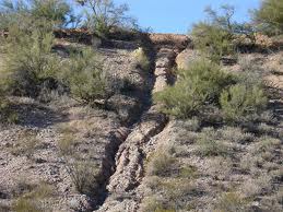 Mojave Desert Ecosystem