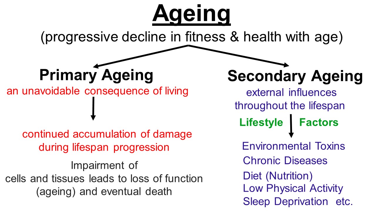 ektalks: Pillars and Sinks of Healthy Ageing