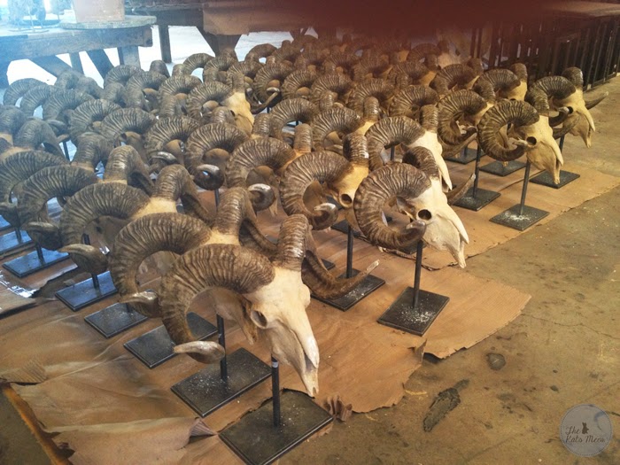 the kat's meow: Heads to the floor, for Janice Minor.