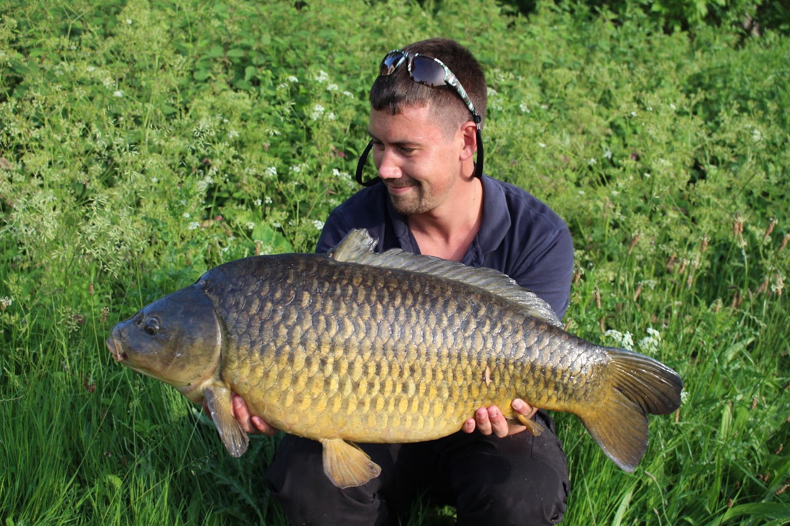 James' Angling Adventures.: River Carp: In Search of Something a Little ...