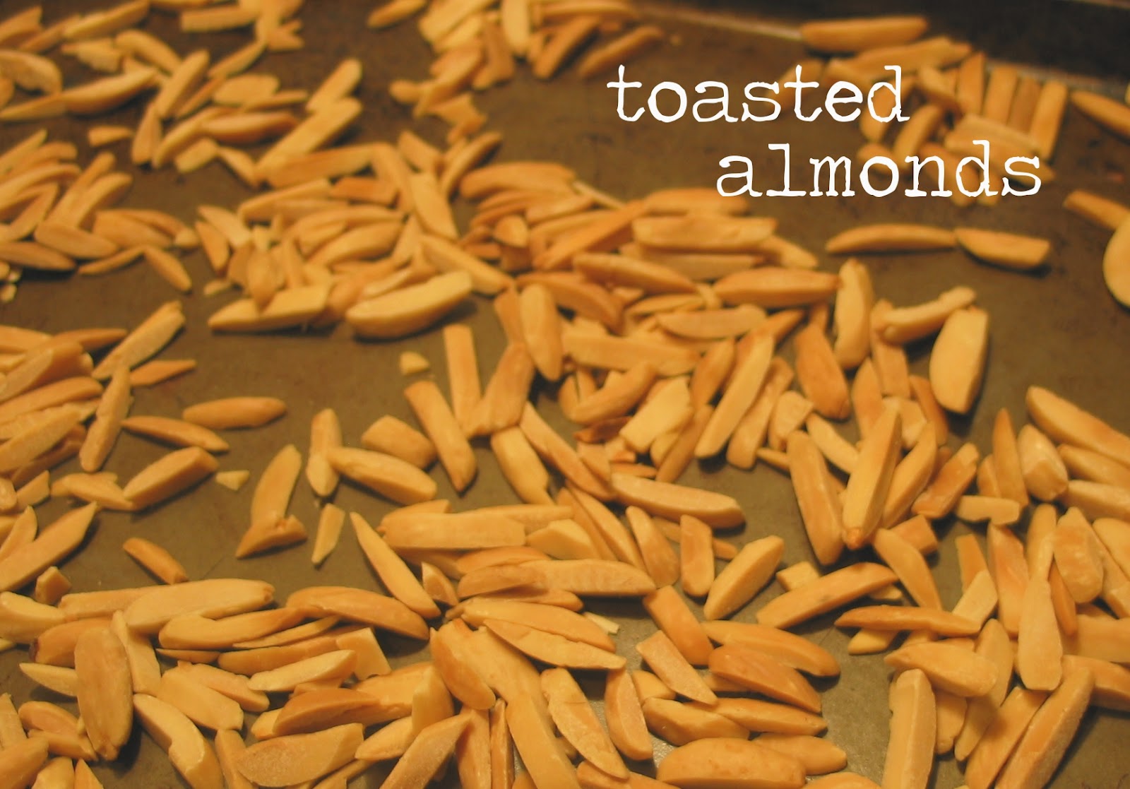 A Starch Free Cookbook: Toasted Almond Covered Truffles