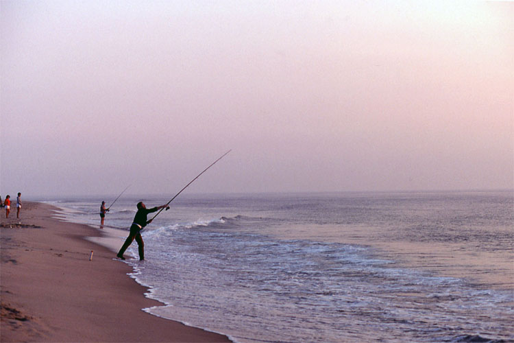 Equipo para Surf Casting Premium