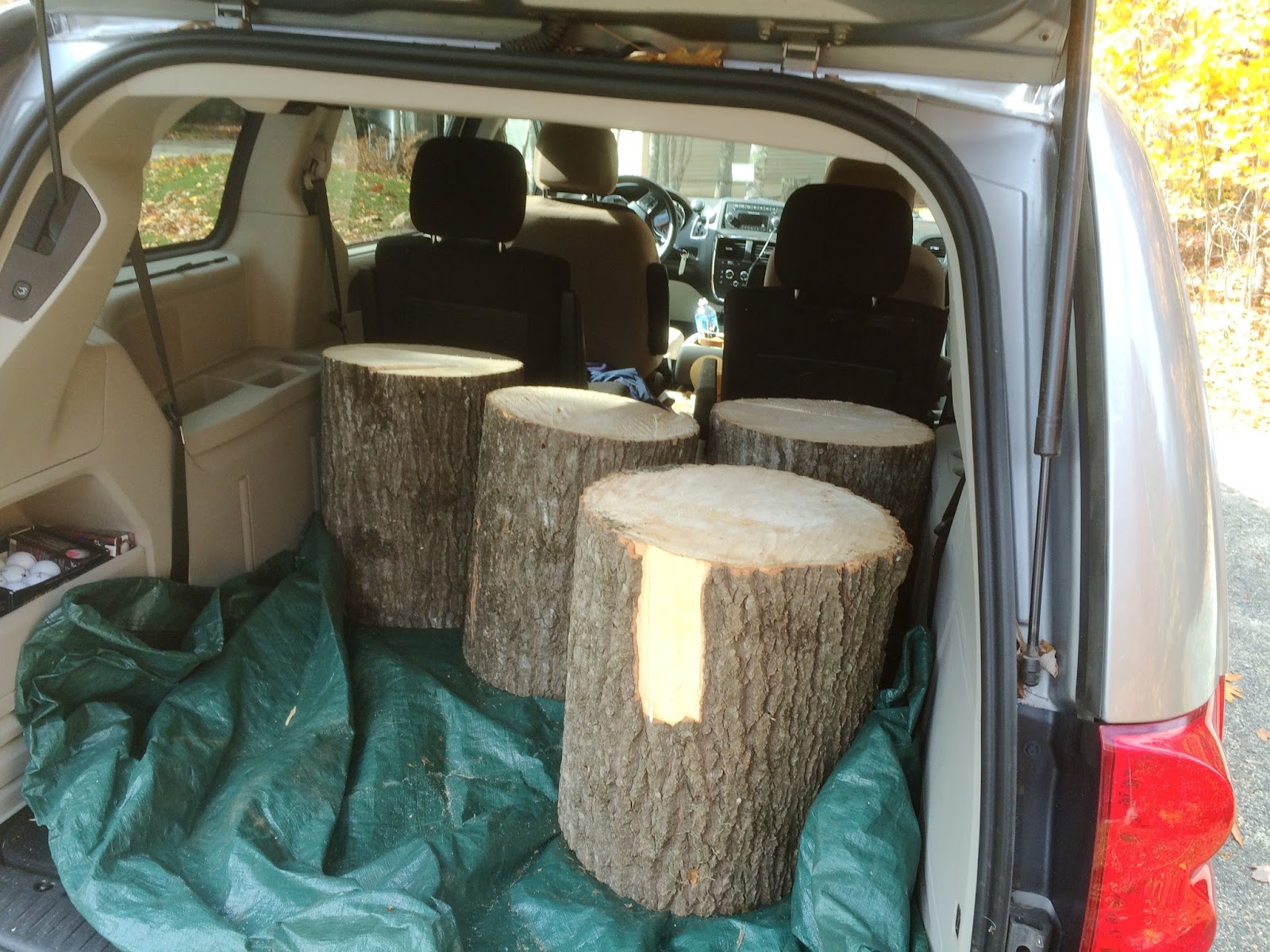 Glowing Dreams of Translucent Wood