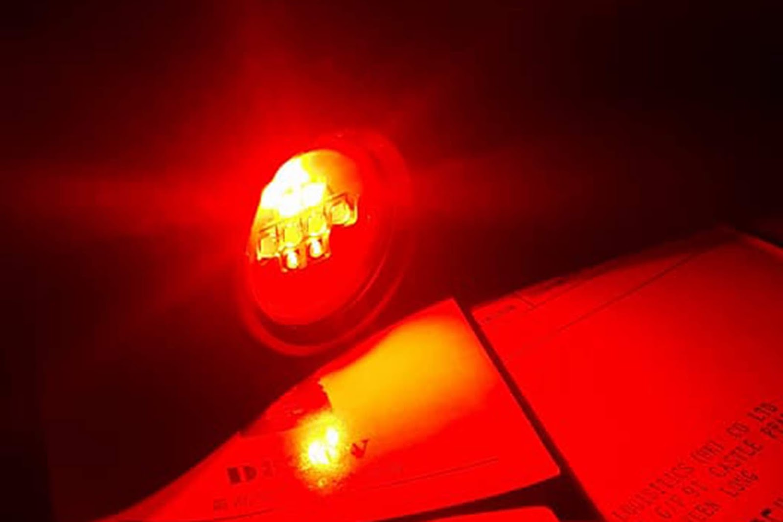 The Tiny Beast - OrcaTorch D820V Dive Light Review - PaparazSea