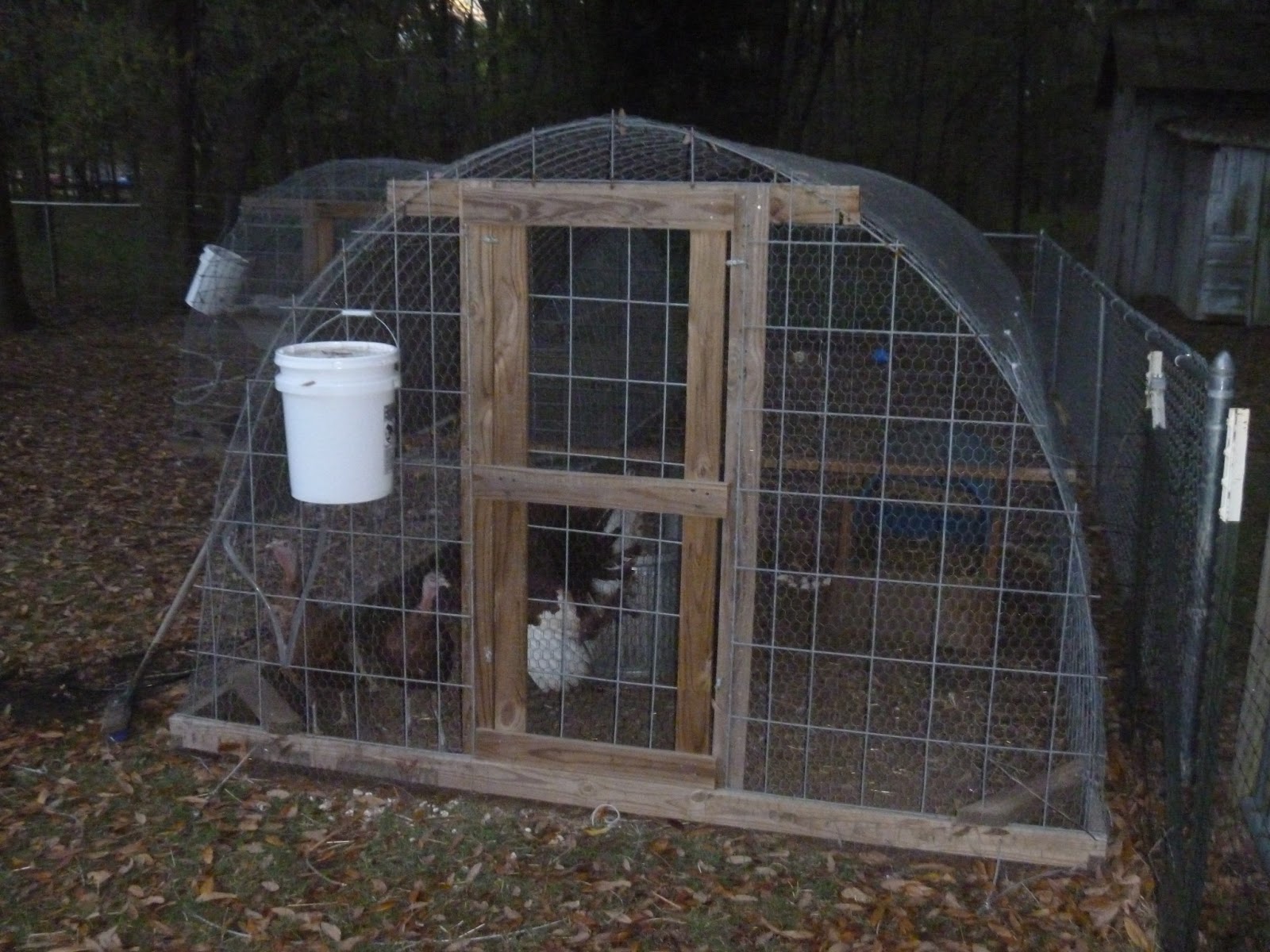 The Corray's Home: Poultry hoop houses