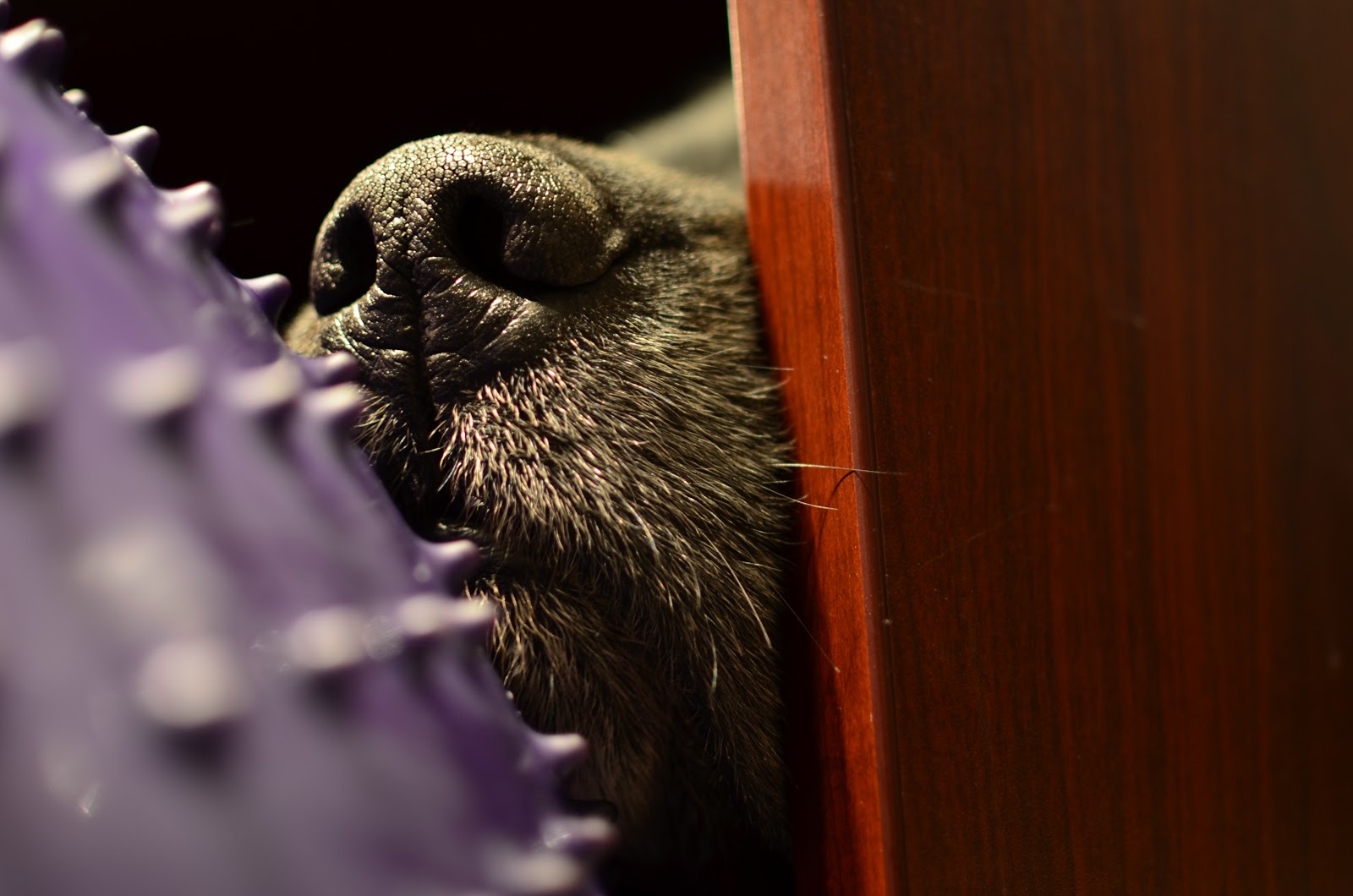 Author-in-the-trenches