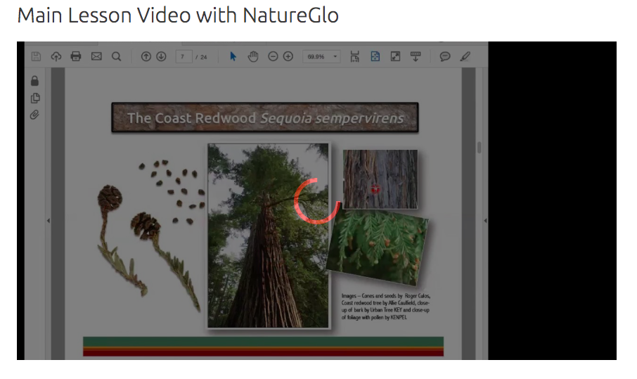 Krazy Kuehner Days: NatureGlo's eScience - NatureGlo's eScience MathArt & Science Course Bundle ...